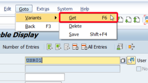 How to create your own variant in SAP - SAPported